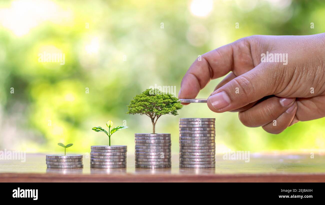 Planting a tree on a pile of money, including the hand of a woman ...