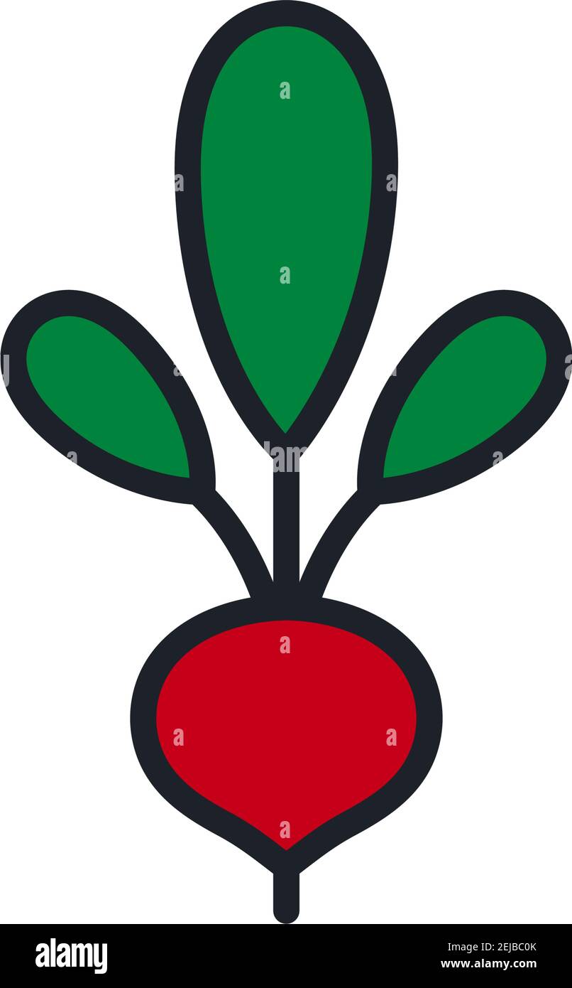 Beetroot icon. Linear color icon, contour, shape, outline isolated on ...