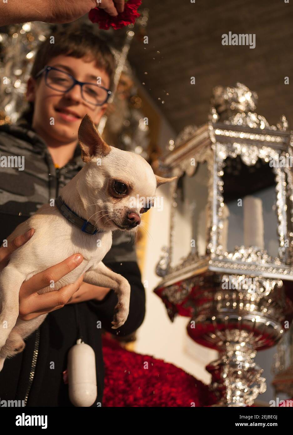 A dog is seen being blessed by a priest outside San Anton church at the ...