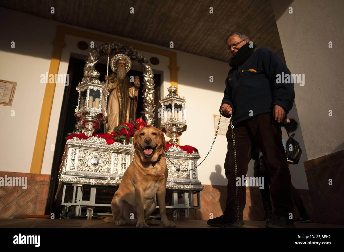 A dog poses for a photo after being blessed by a priest outside San ...