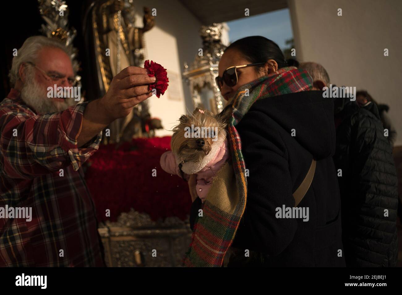 A dog is seen being blessed by a priest outside San Anton church at the ...