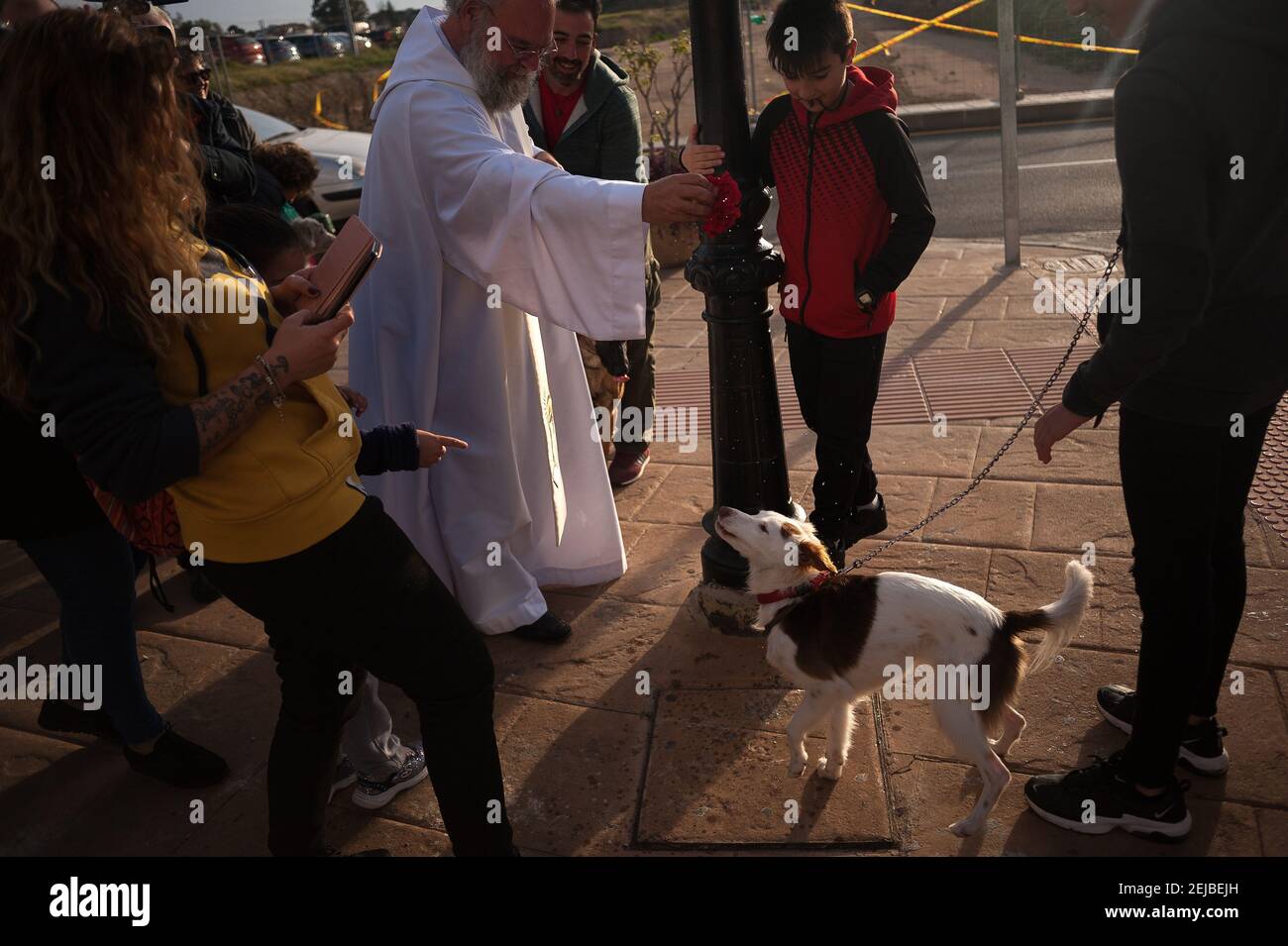 A dog is seen being blessed by a priest outside San Anton church at the ...