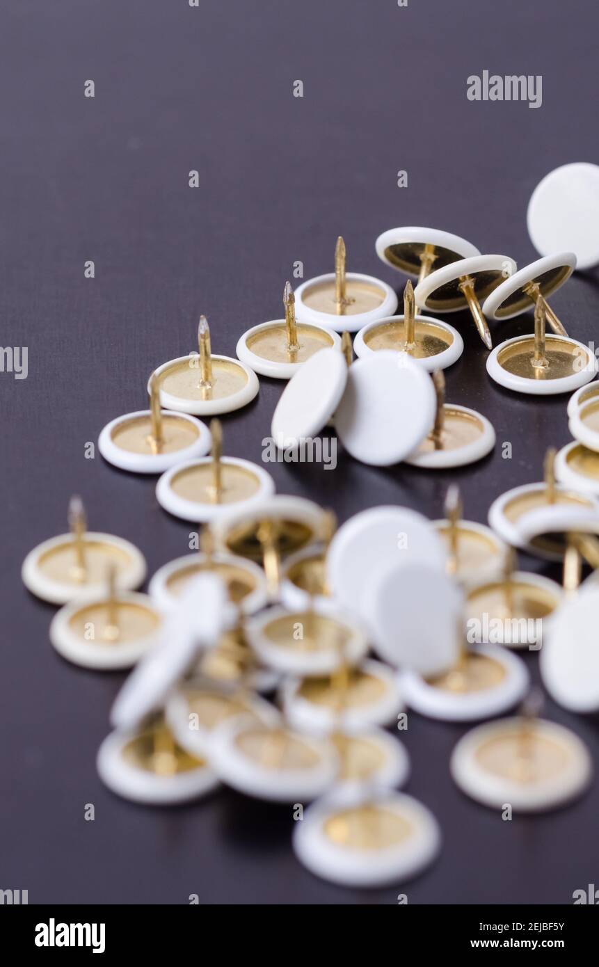 Close-up of white and golden drawing pins, tacks or thumbtacks with ...