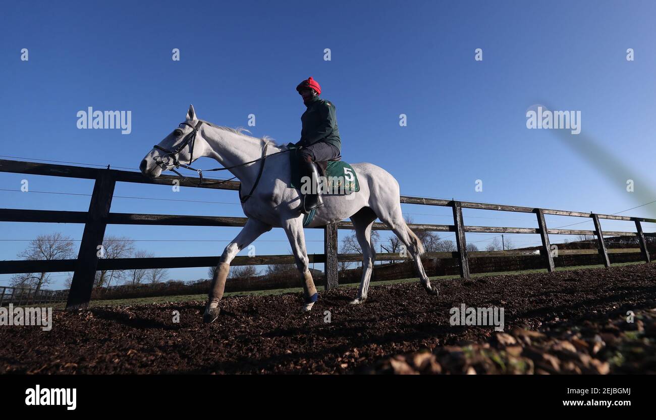 Elimay and jockey Rachel Robins during the visit to Willie Mullins ...
