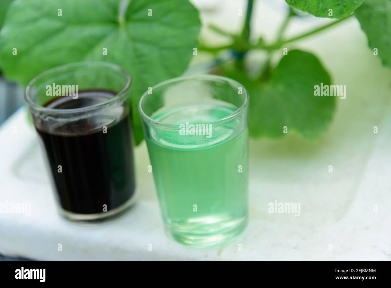 A and B type of Liquid fertilizer in the glass for Melon Hydroponics ...