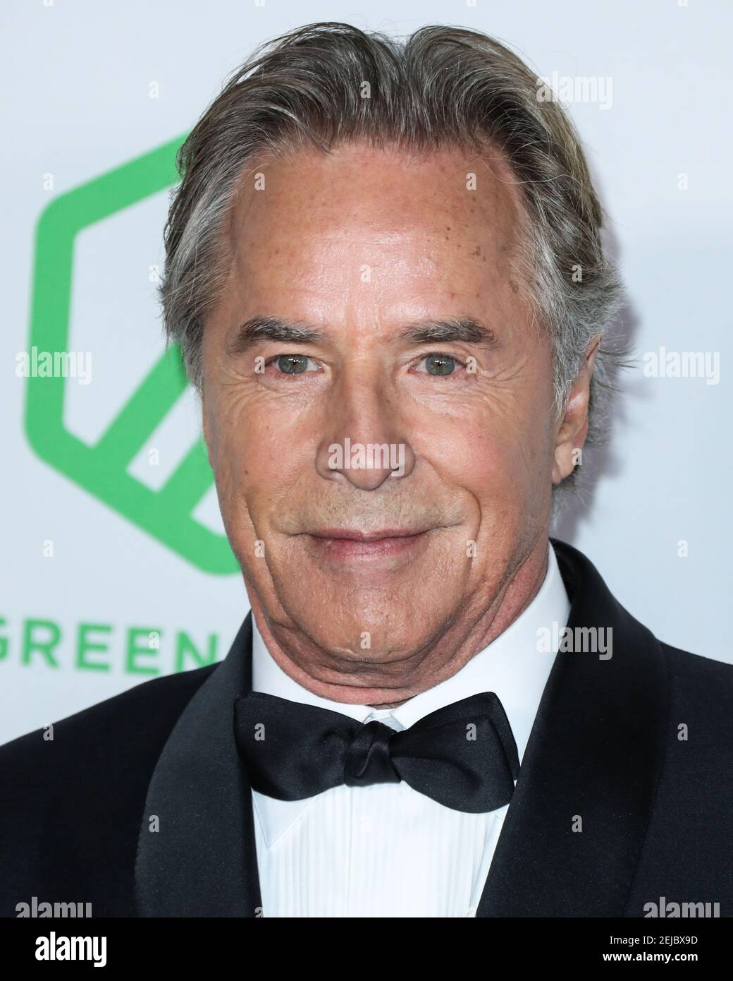 HOLLYWOOD, LOS ANGELES, CALIFORNIA, USA - JANUARY 18: Actor Don Johnson ...