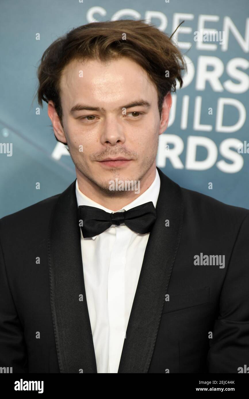 Charlie Heaton arrives for the 26th Annual Screen ActorsÂ Guild Awards ...