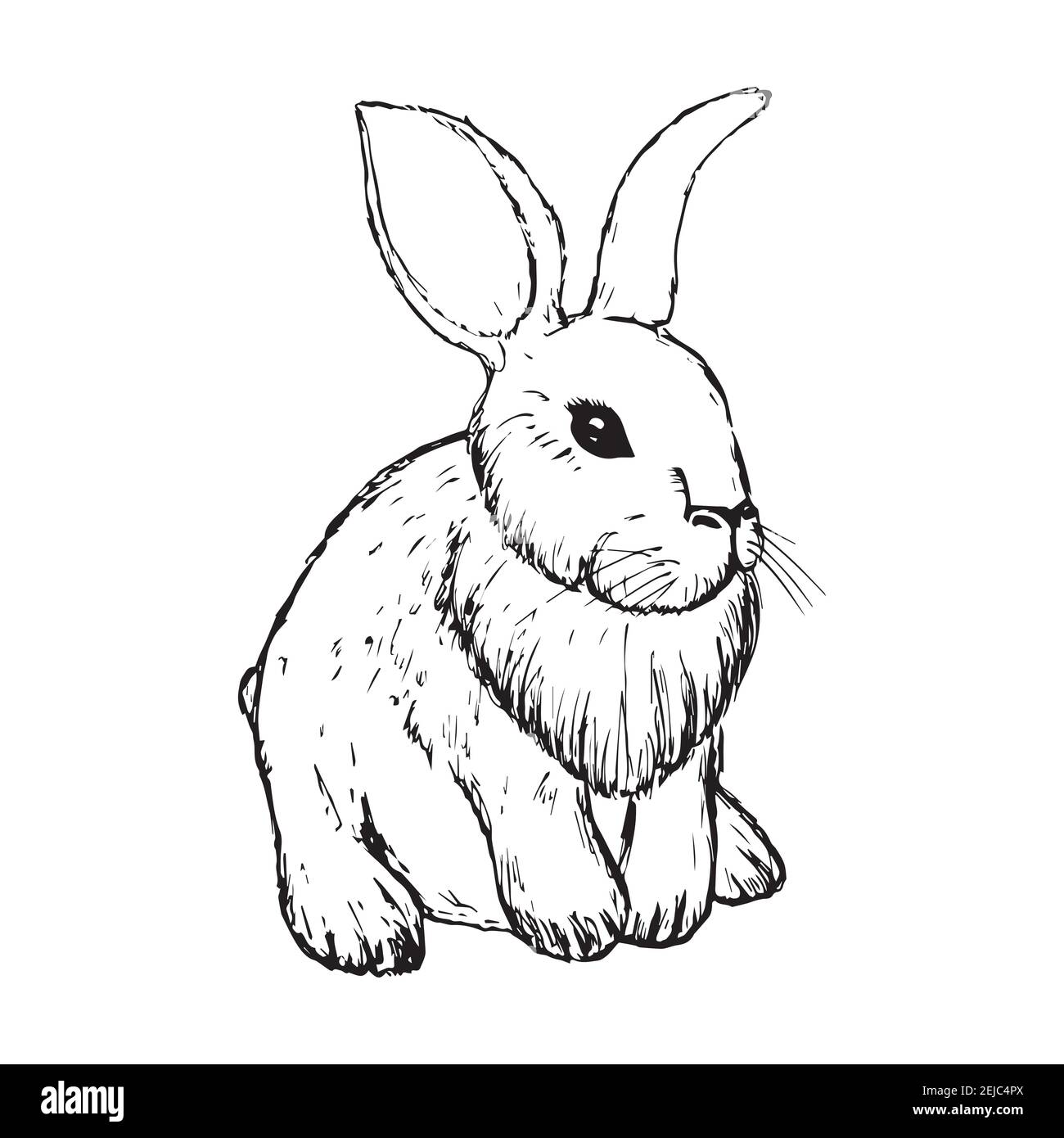 Vintage Bunny Vector