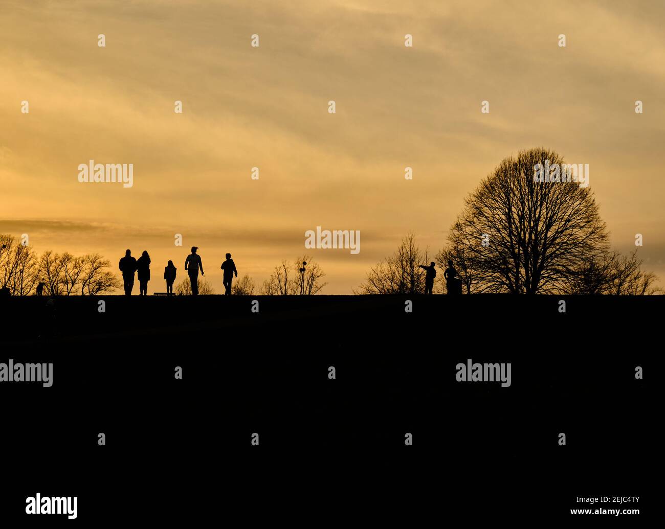 Silhouette of a group of people walking along a park against a golden ...