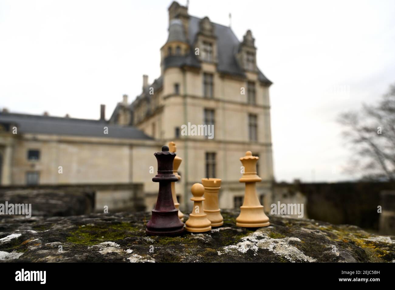 Check pieces in front of a castle Stock Photo - Alamy