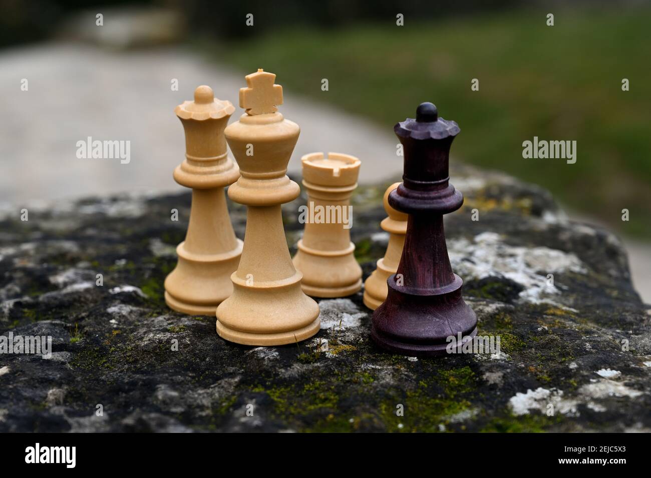 Various black and whte check pieces Stock Photo - Alamy