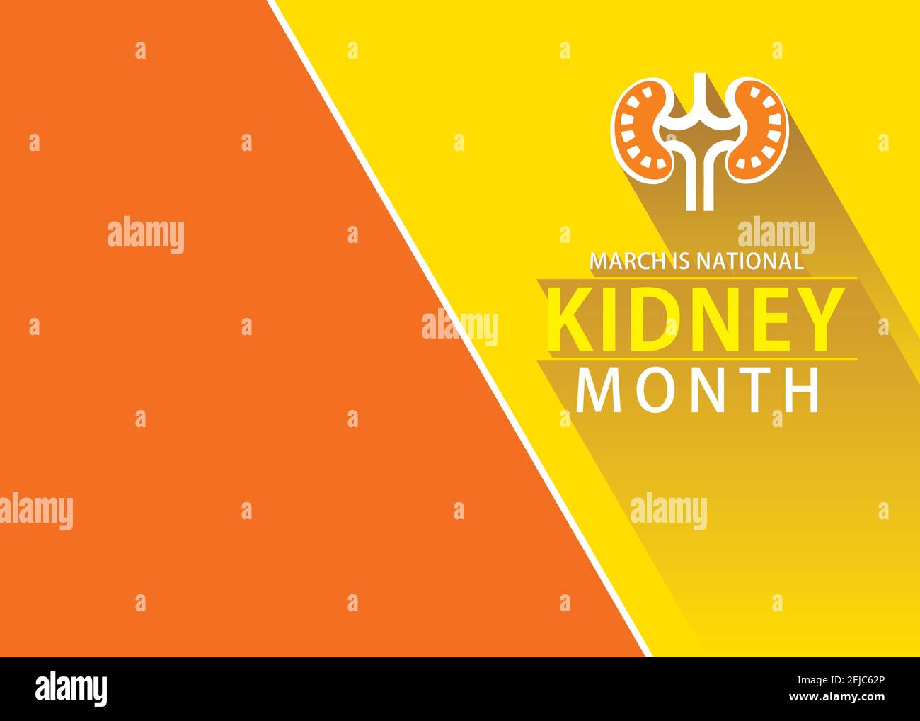Vector illustration of national kidney month design Stock Vector Image ...