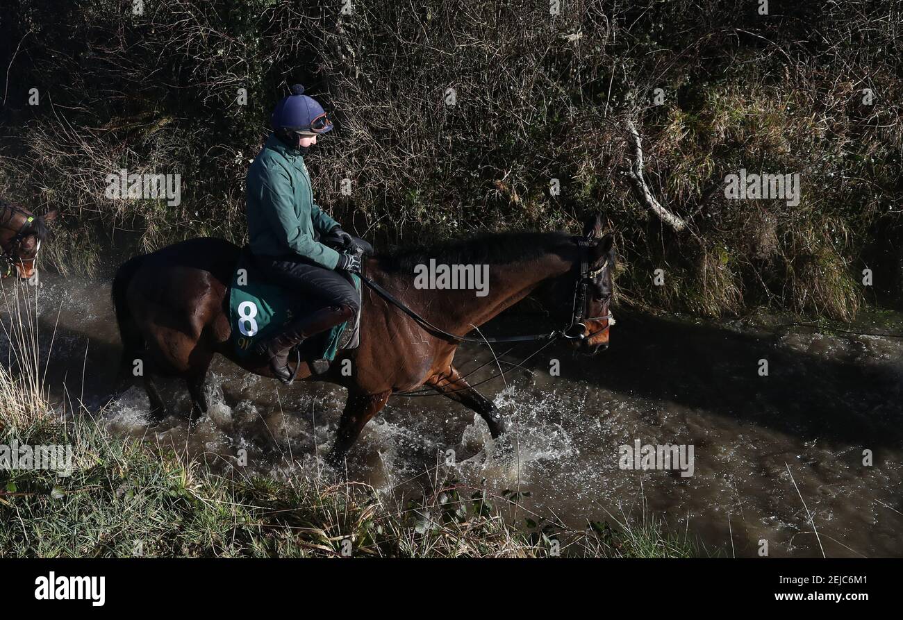Kemboy and Jockey Ruth Dudfield during the visit to Willie Mullins ...