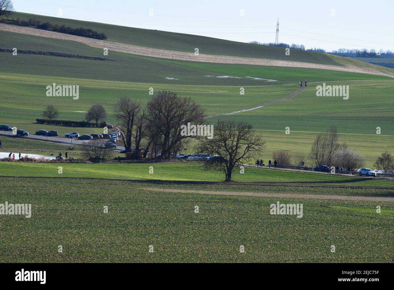 frozen swamp lakes with ice skating fun Stock Photo - Alamy