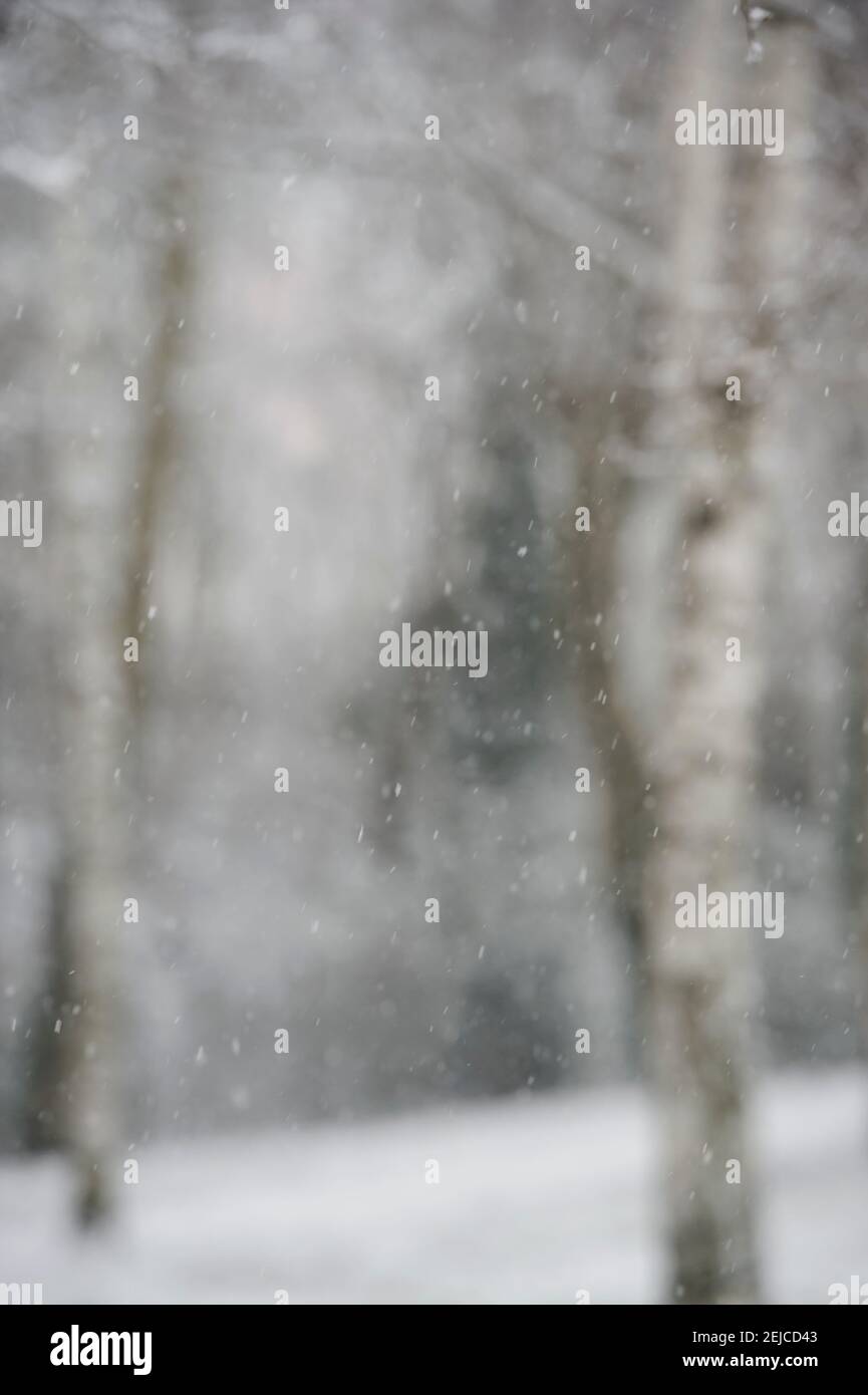 Falling snow in the countryside hi-res stock photography and images - Alamy