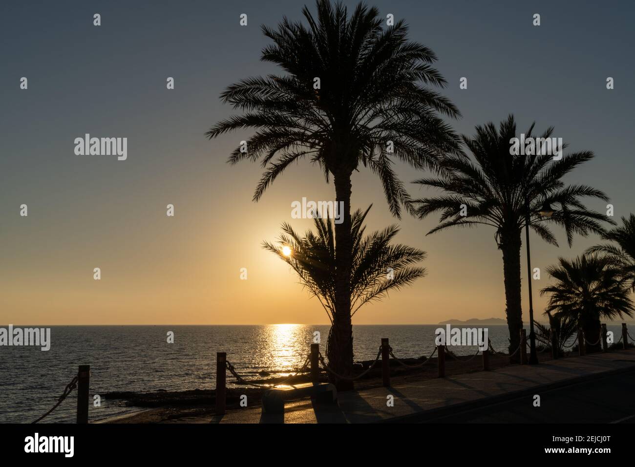 Colorful sunset over the ocean with palm trees in silhouette and a ...