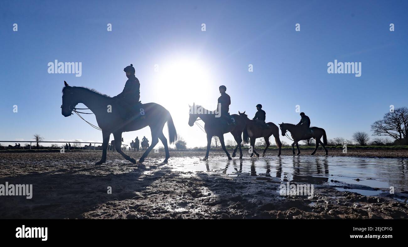 Ruth dudfield hi-res stock photography and images - Alamy