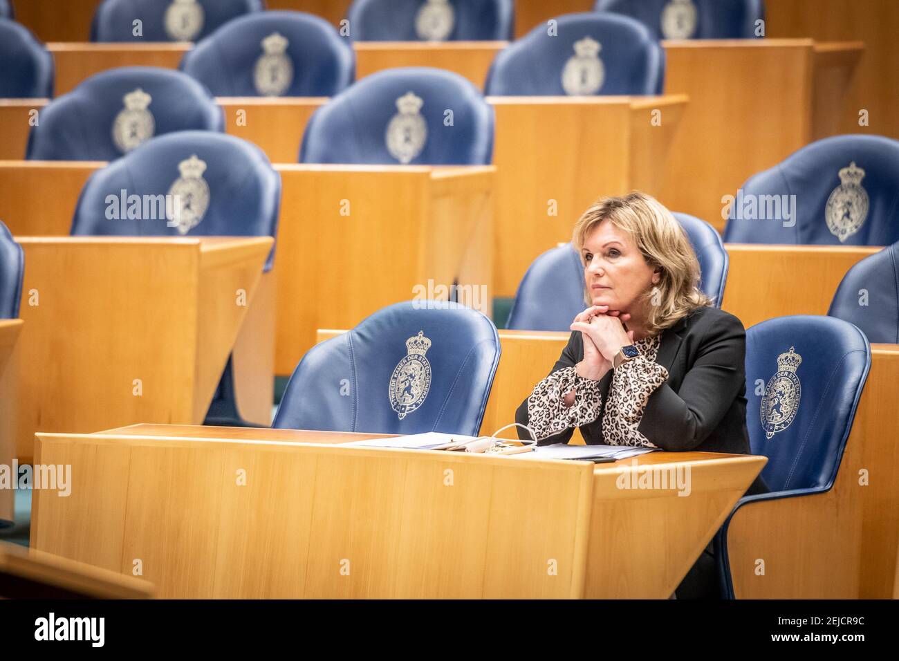 DEN HAAG, 23-01-2020, Debate about changing embryowet in Second Chamber ...