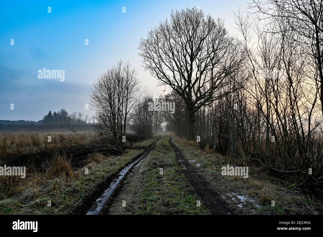 Car tracks in fields hi-res stock photography and images - Alamy