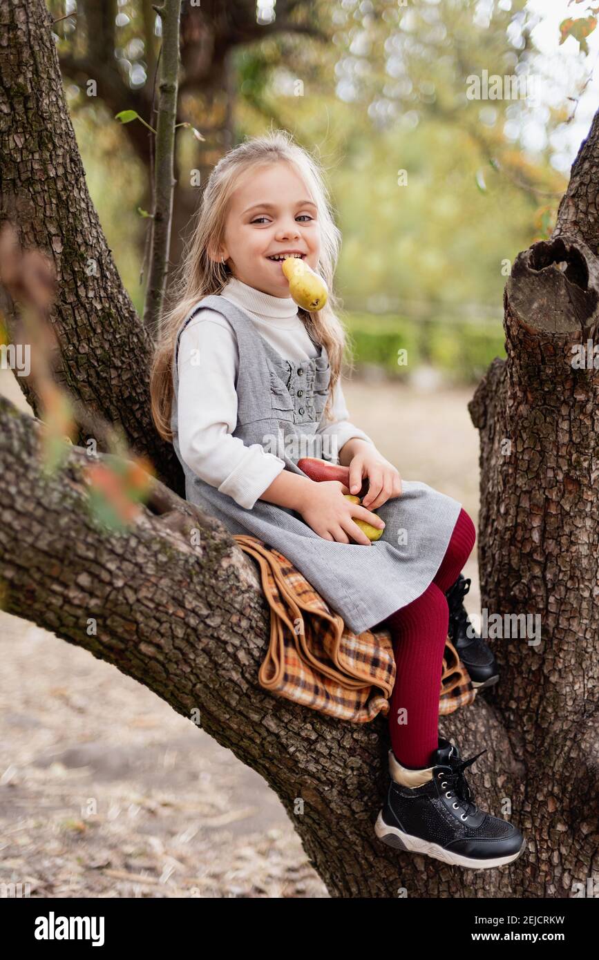 Child picking pears on farm in autumn. Little girl playing in pears ...