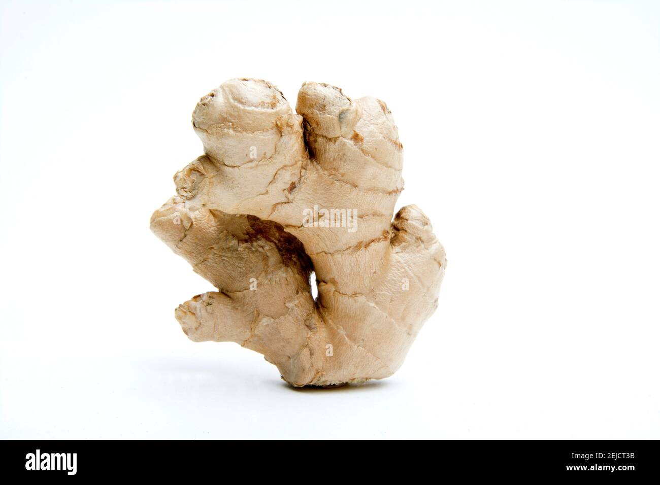 Fresh ginger root with unique shape displayed against a white ...
