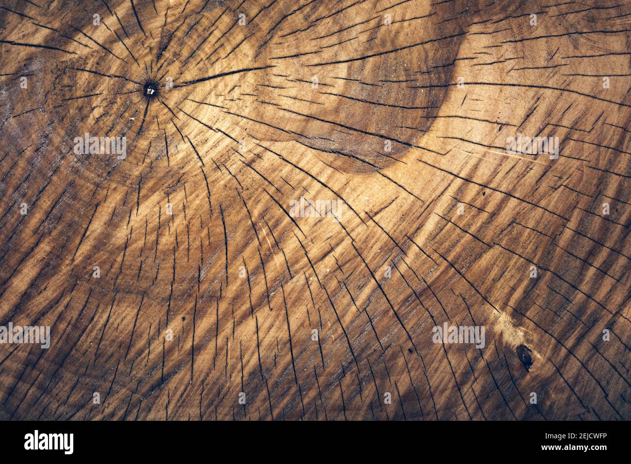 Old wooden log pattern, natural tree texture. Background. Plank surface ...