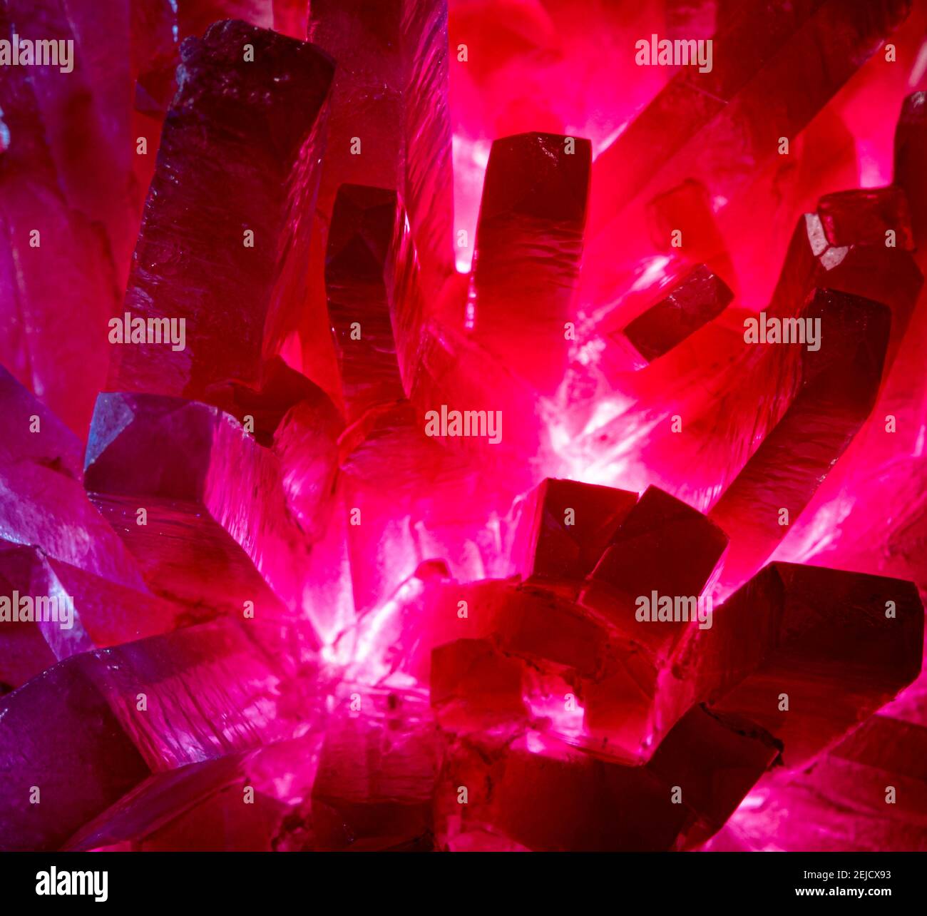 Extreme close up extreme macro hi-res stock photography and images - Alamy