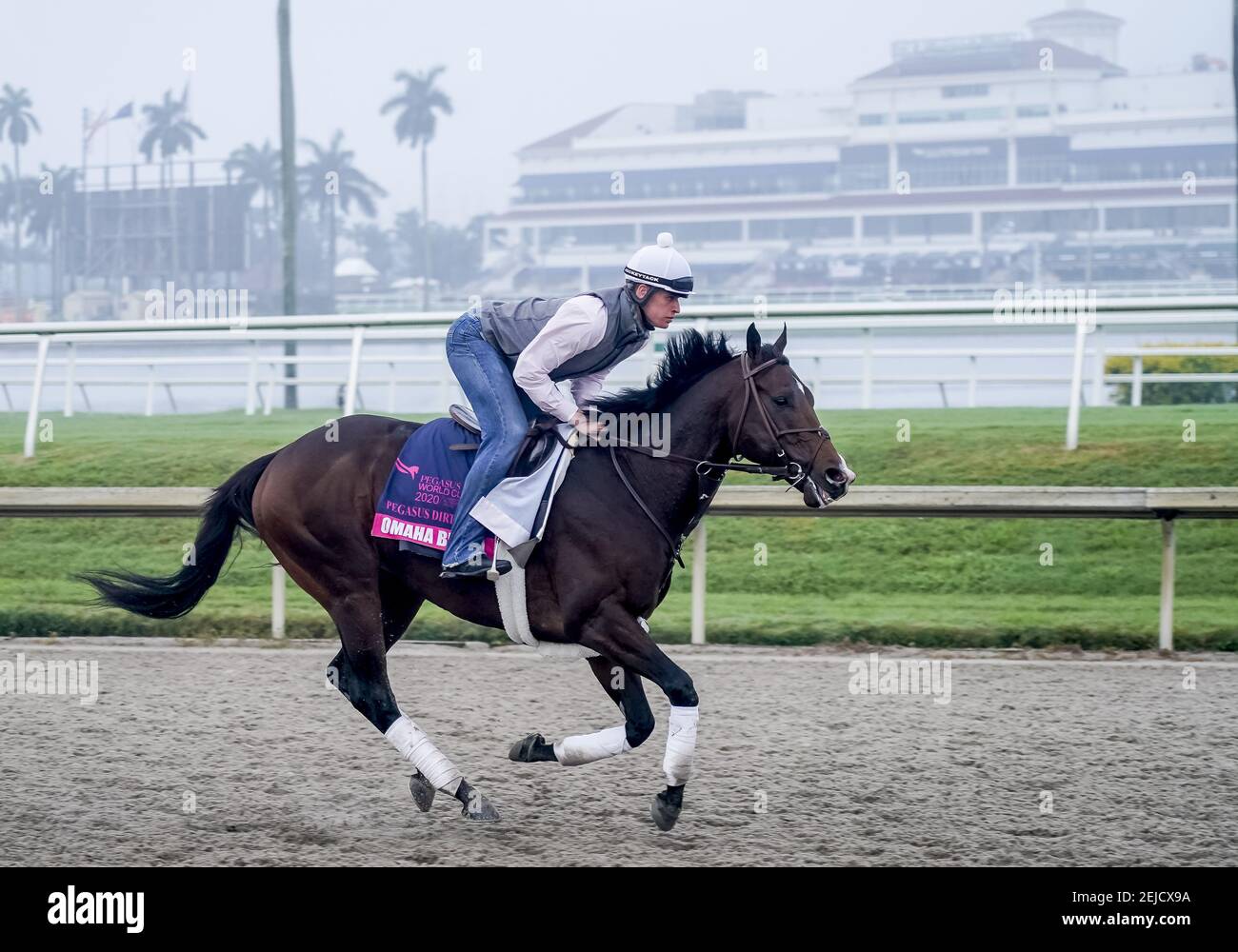 January 23, 2020, Hallandale Beach, FL, USA: Omaha Beach gallops as ...