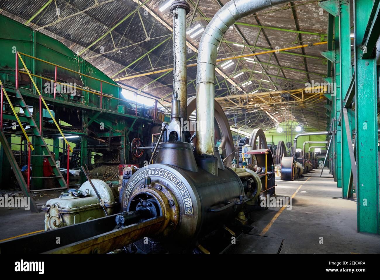 Vintage steam engines have been providing the power for the processing ...