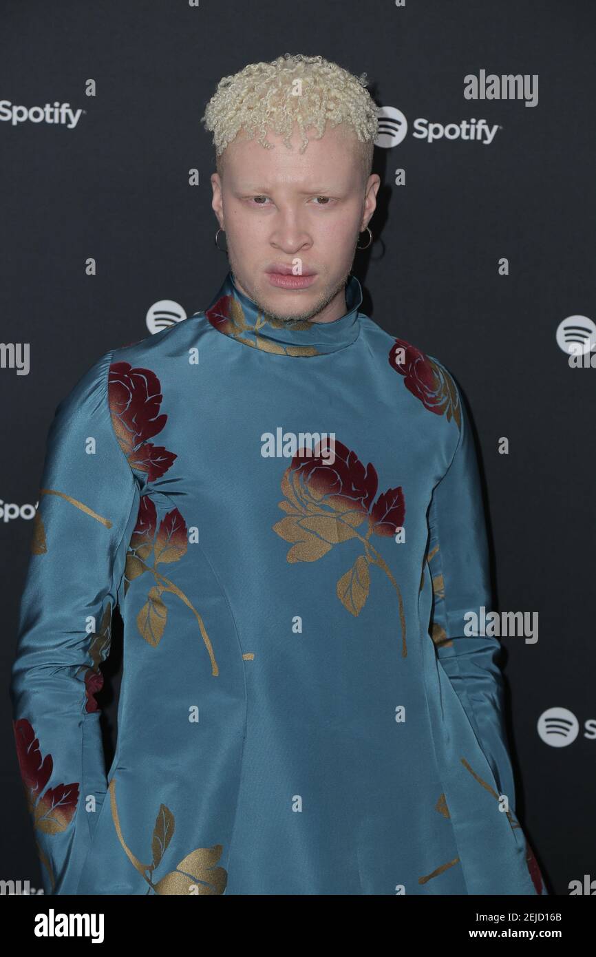 Shaun Ross walking the red carpet at the Spotify Hosts "Best New Artist ...