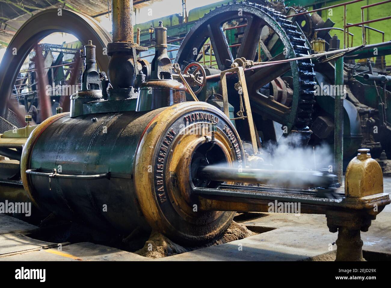 Vintage steam engines have been providing the power for the processing ...