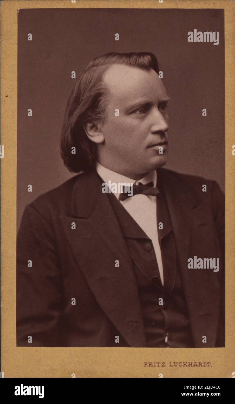 Portrait of the composer Johannes Brahms (1833-1897). Museum: PRIVATE ...