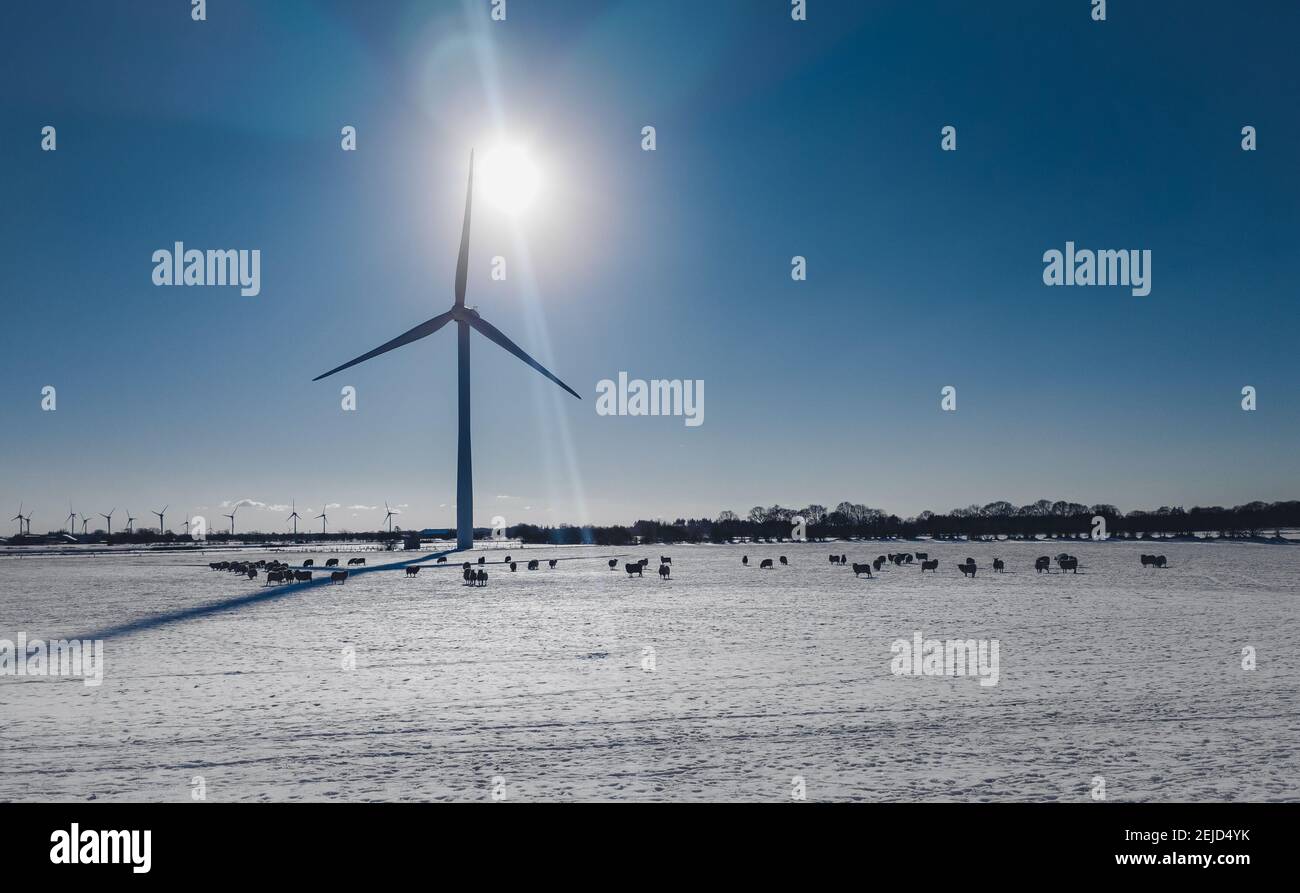 Duing hi-res stock photography and images - Alamy