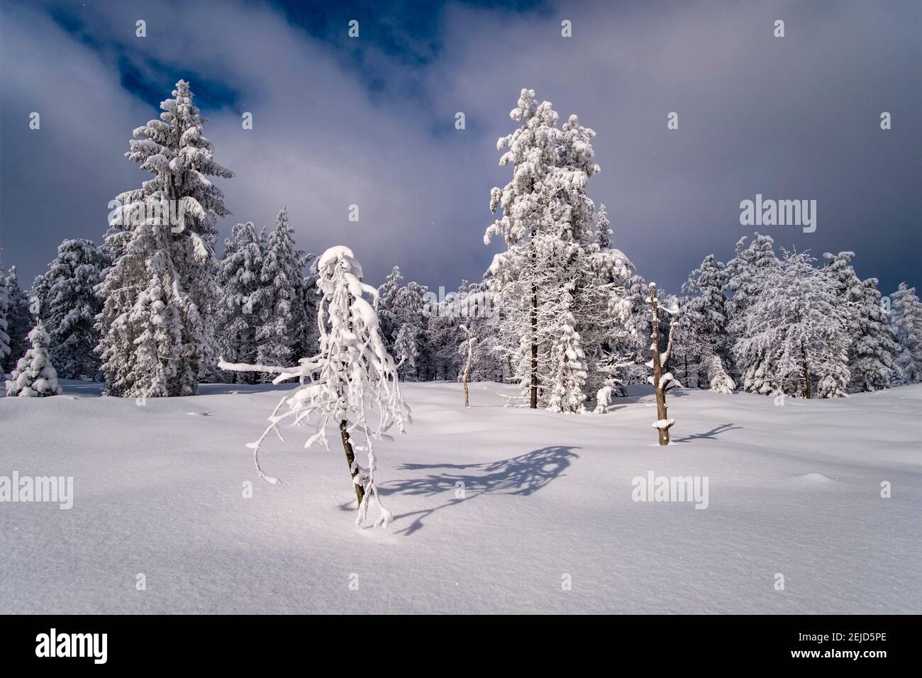 Sunny snowscape hi-res stock photography and images - Alamy