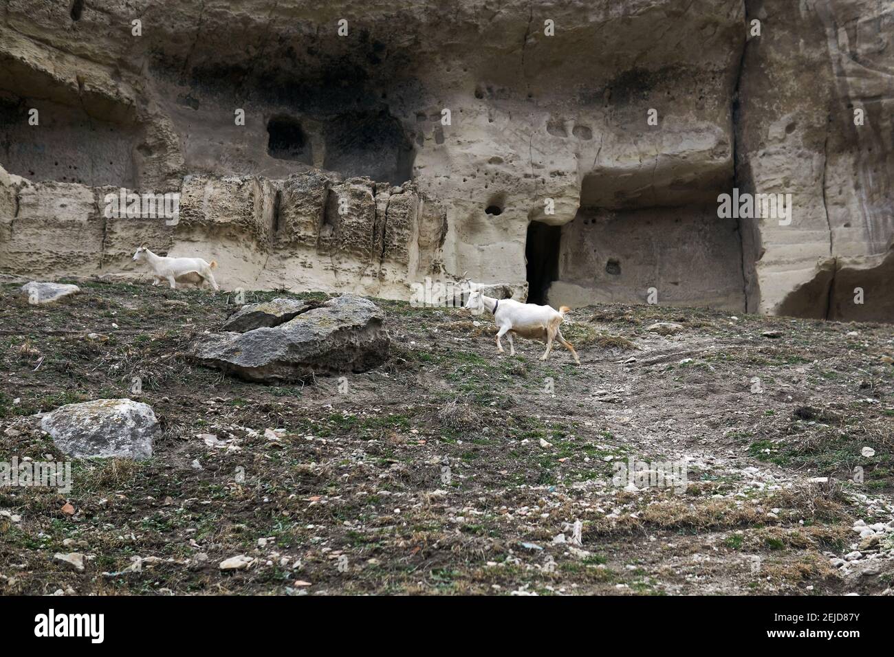 Goats cave hi-res stock photography and images - Alamy