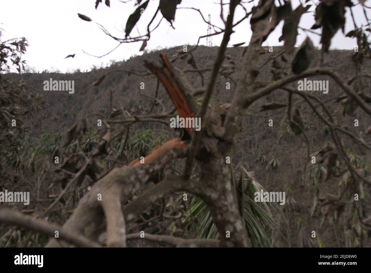 Taal Volcano spewed more ash on Friday, proof that continued magma ...