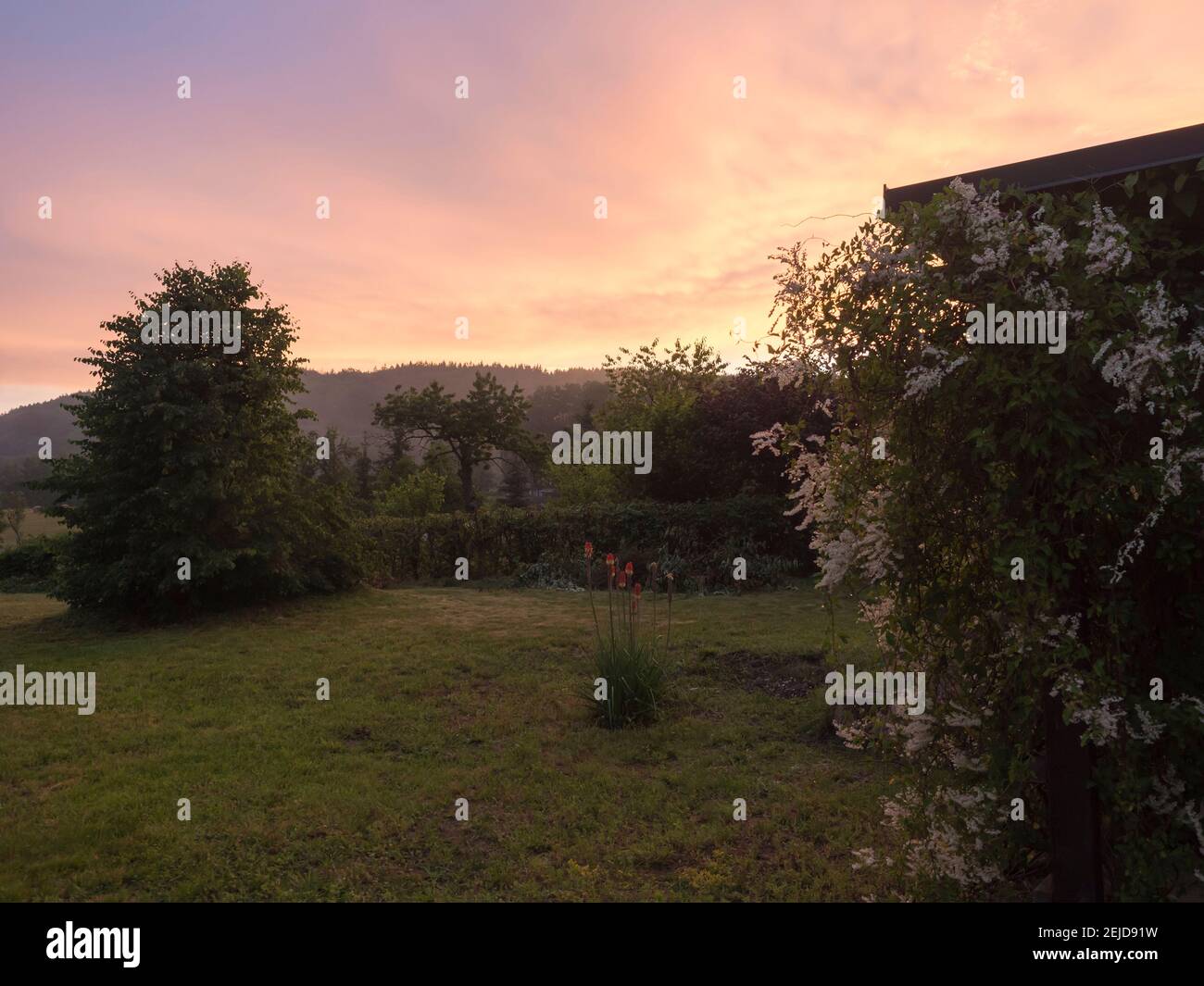 View of sunset at summer garden with trees and flowers and tiber wooden ...