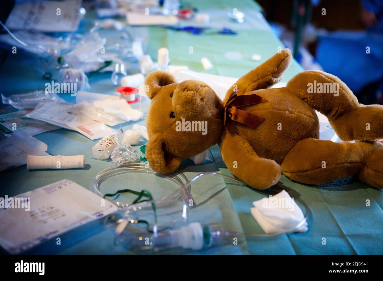 Educational action for kindergarten children bringing their teddy bears ...