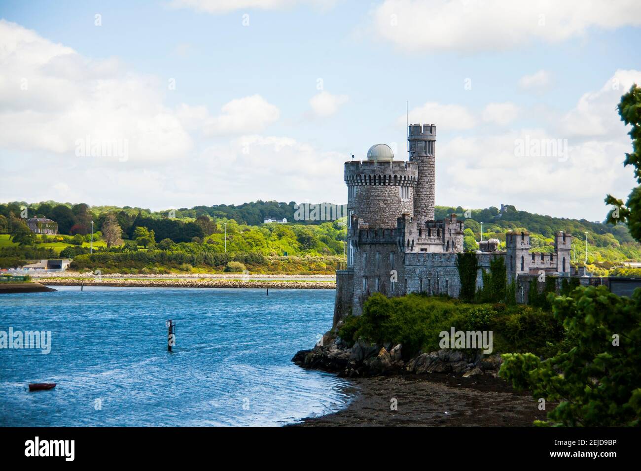 West cork flora hi-res stock photography and images - Alamy