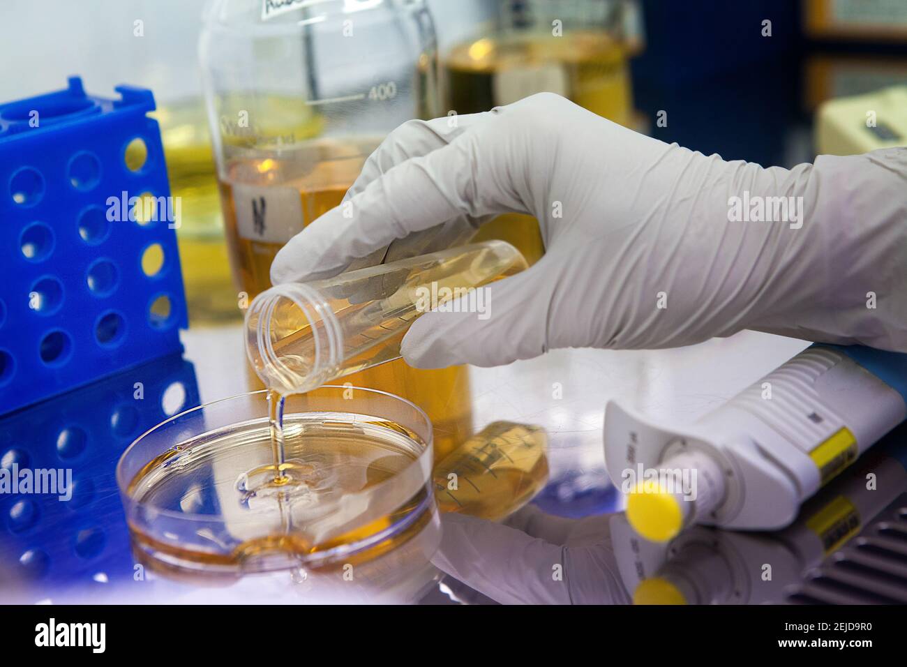 Manufacture of therapeutic vaccines for the treatment of small cell ...
