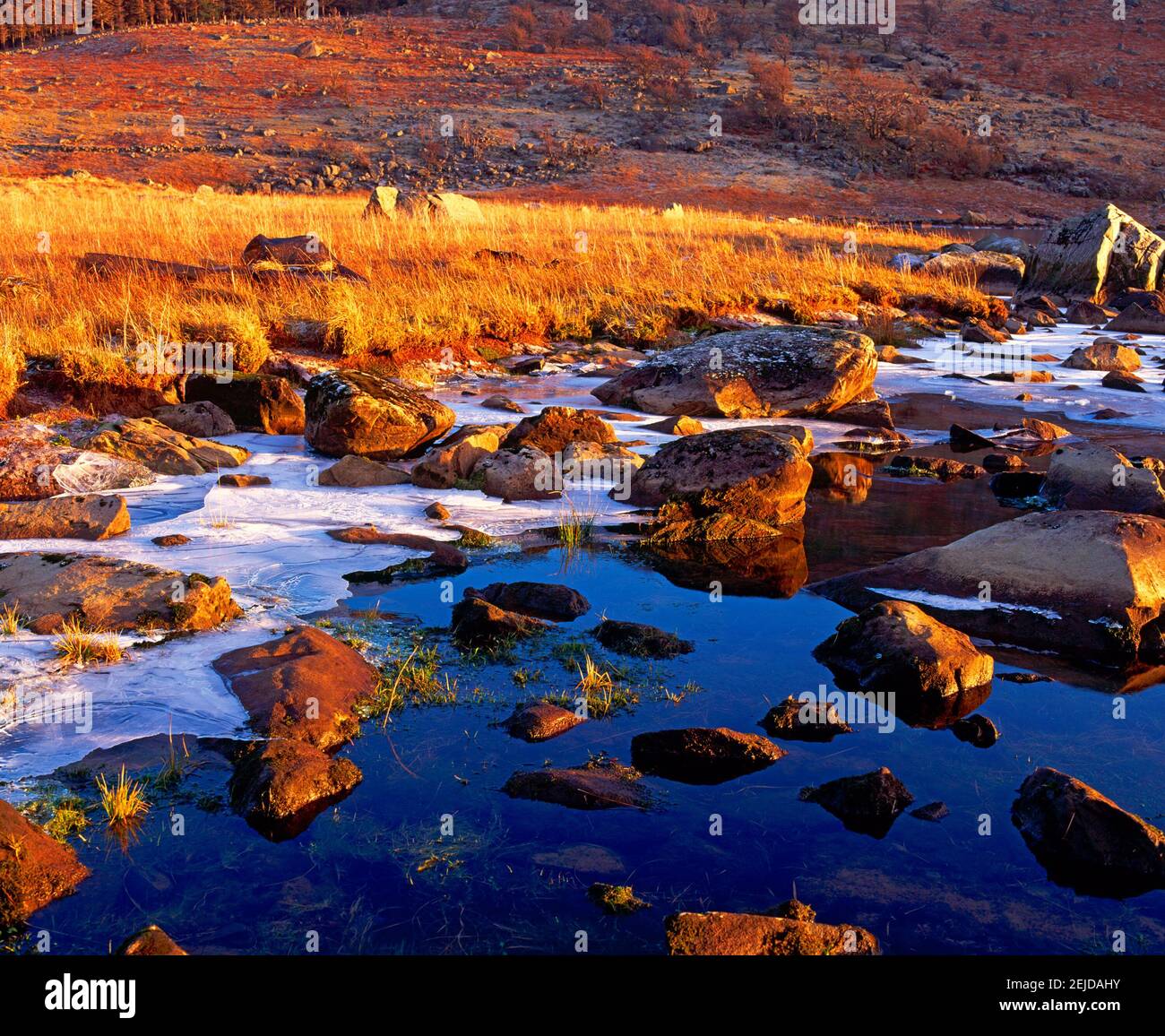 Grasses at waters edge hi-res stock photography and images - Alamy
