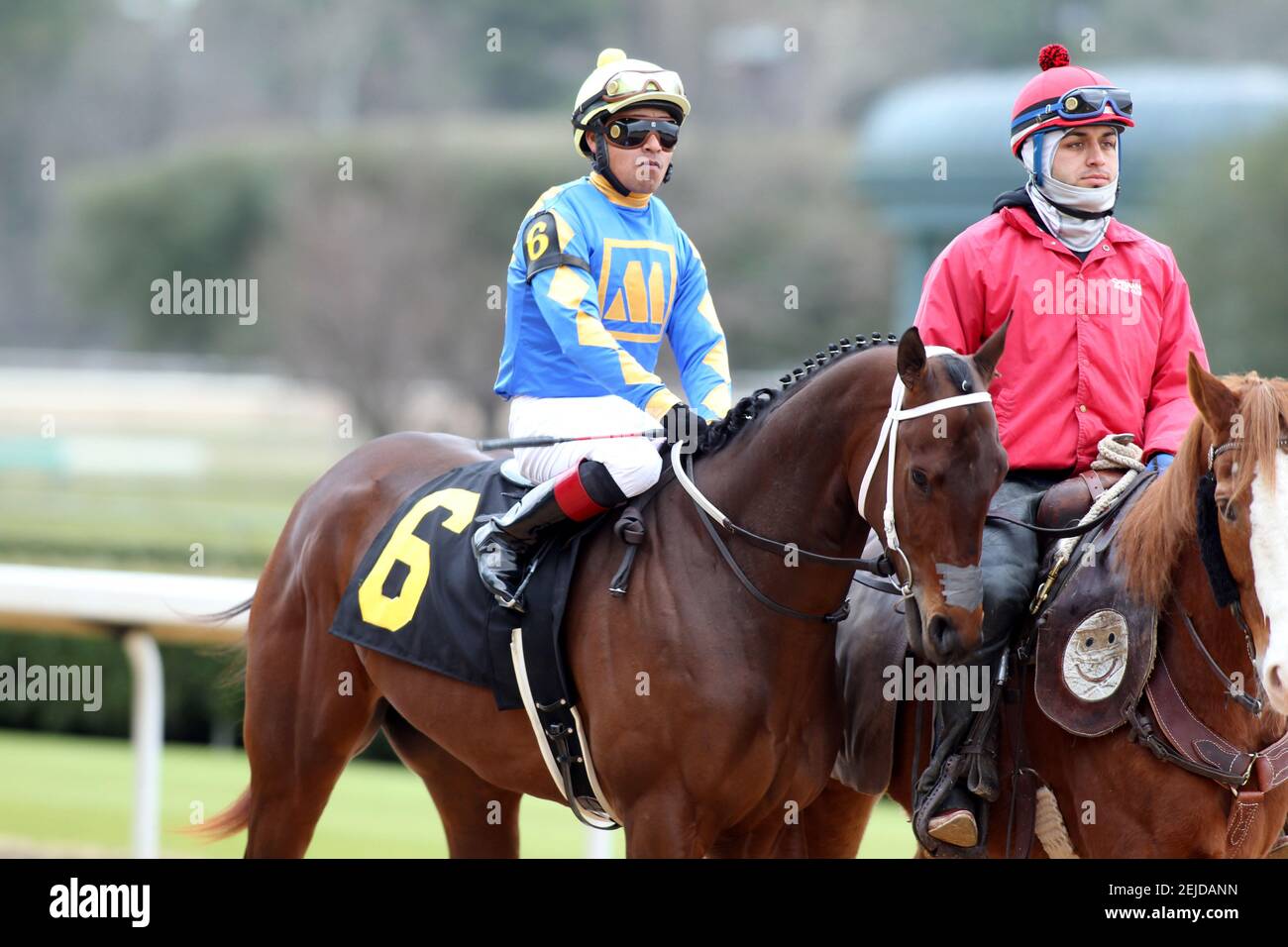 January 24, 2020, Hot Springs, Arkansas, USA: January 24, 2020: Gold ...