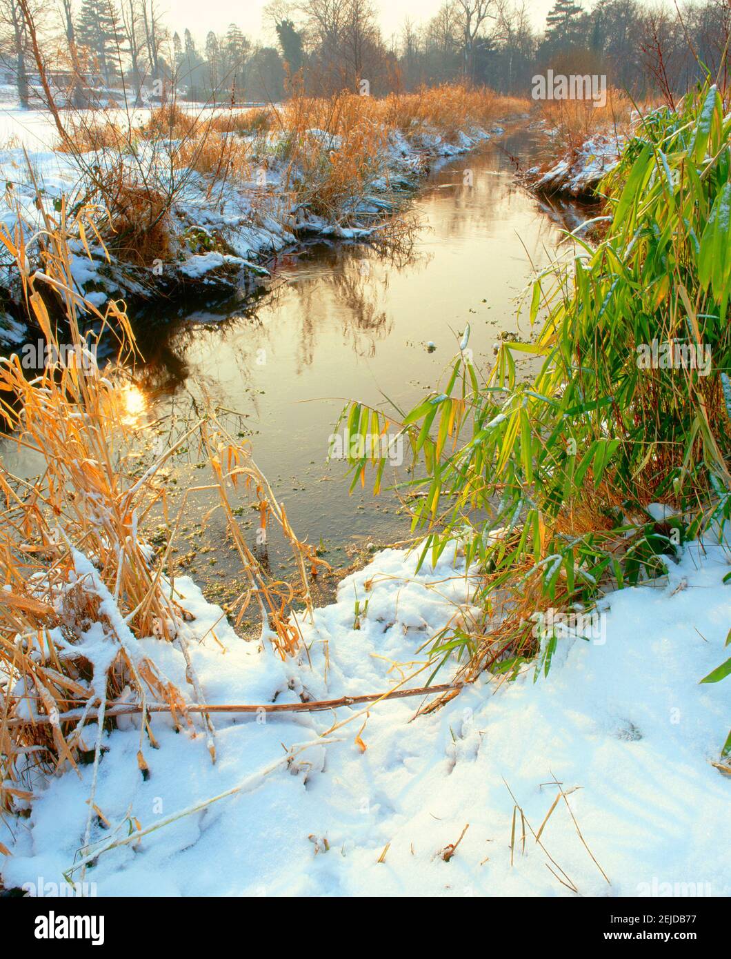 snow scene, with water course Stock Photo - Alamy