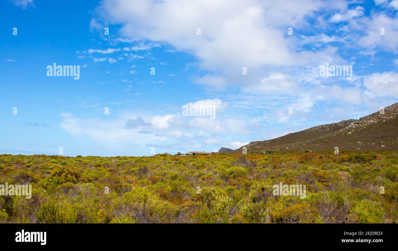 Cape Point- Cape Town, South Africa - 19-02-2021 Scenic landscapes ...