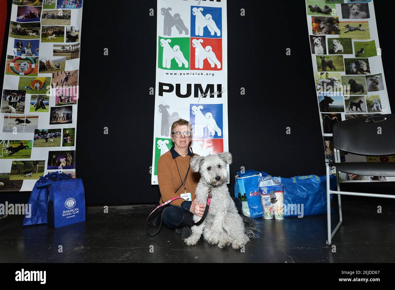 A woman sits a with a Pumi named Hero at the American Kennel Club “AKC ...