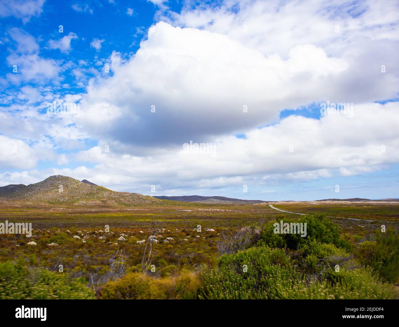 Cape Point- Cape Town, South Africa - 19-02-2021 Scenic landscapes ...