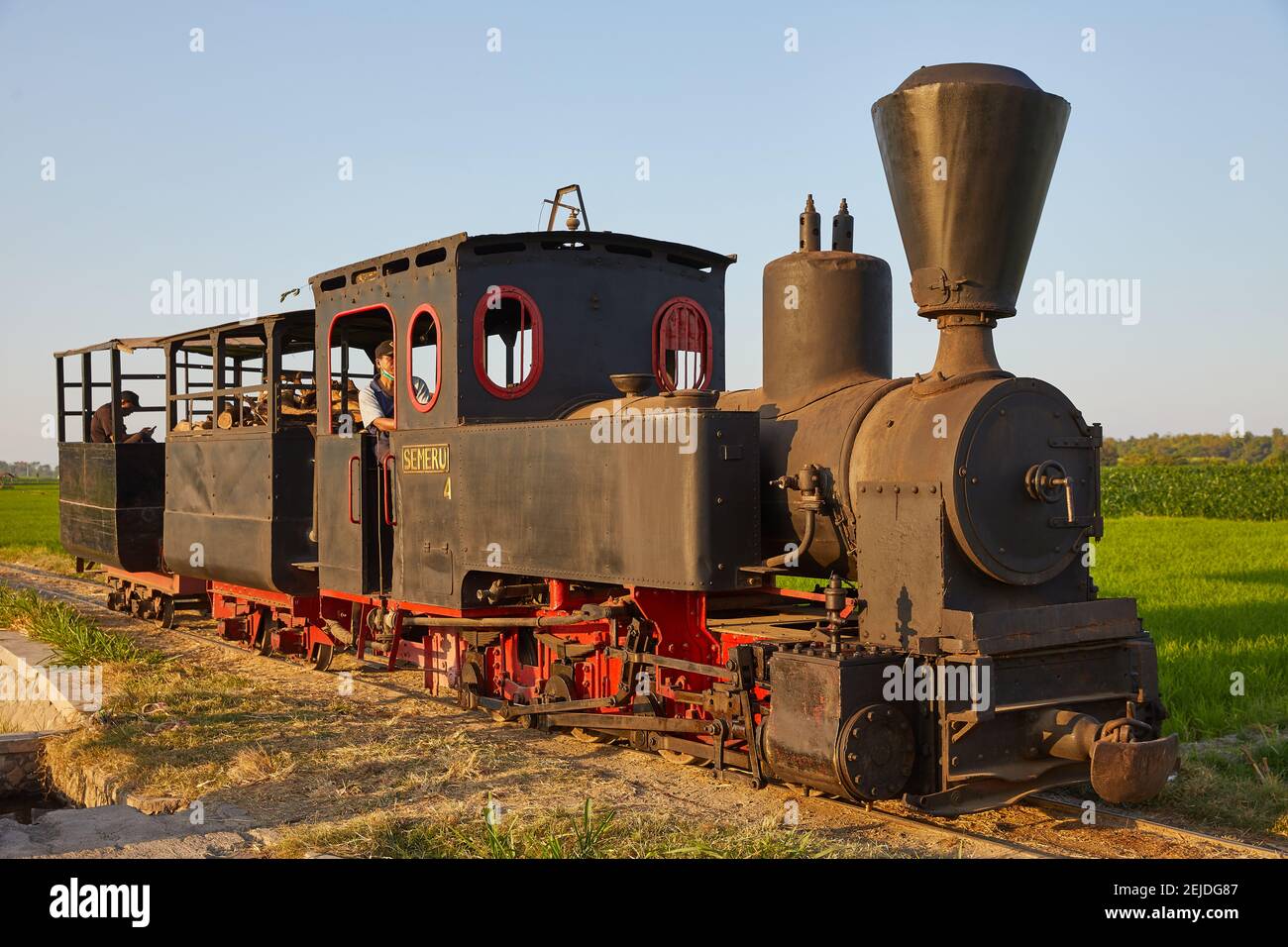 Vintage steam engines have been providing the power for the processing ...