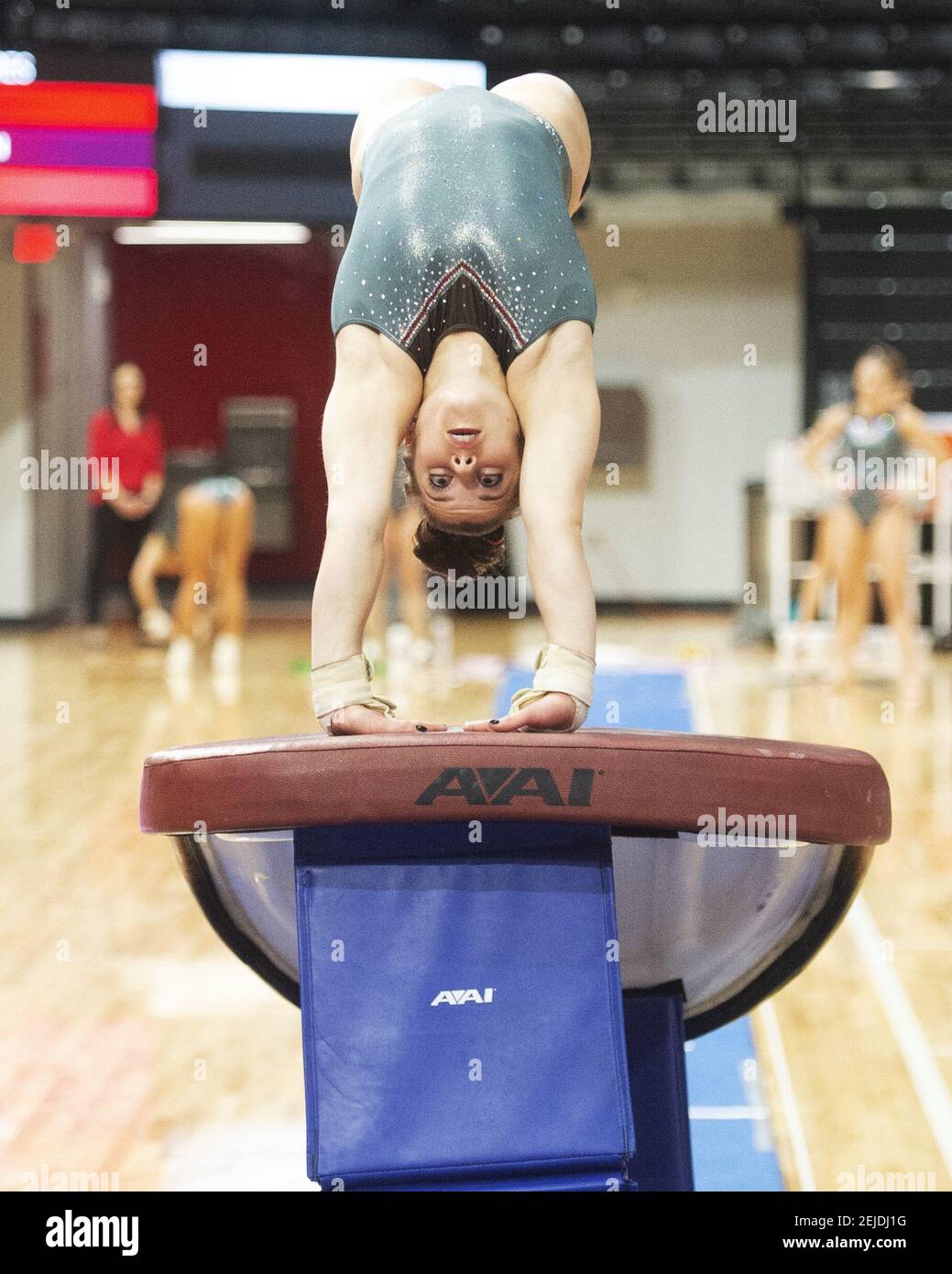 January 25, 2020: Ohio State Buckeyes Morgan Lowe warms up on the vault ...