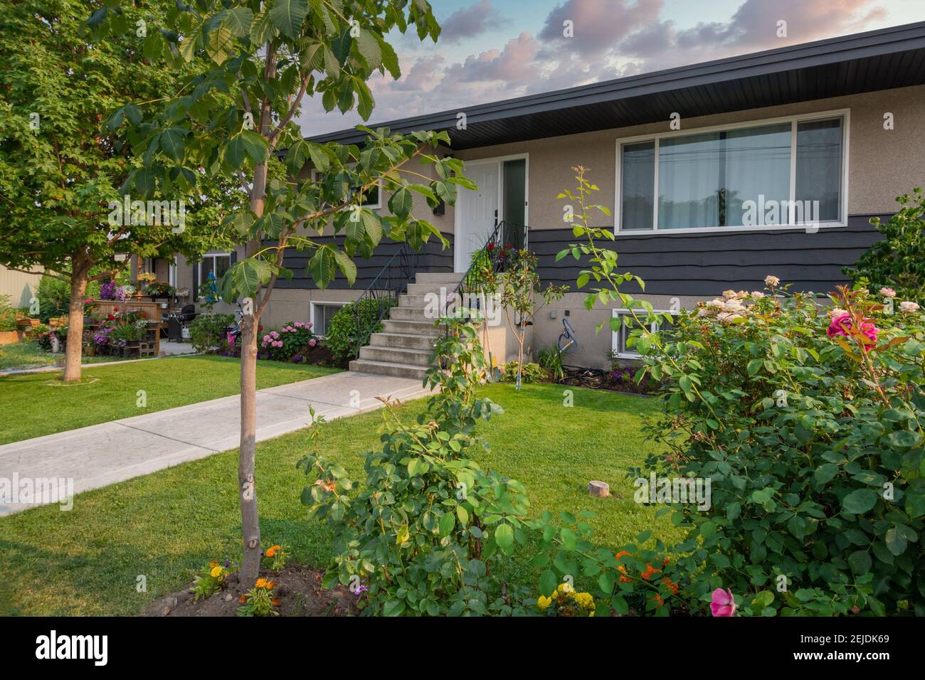 Average family house with concrete pathway over front yard Stock Photo ...