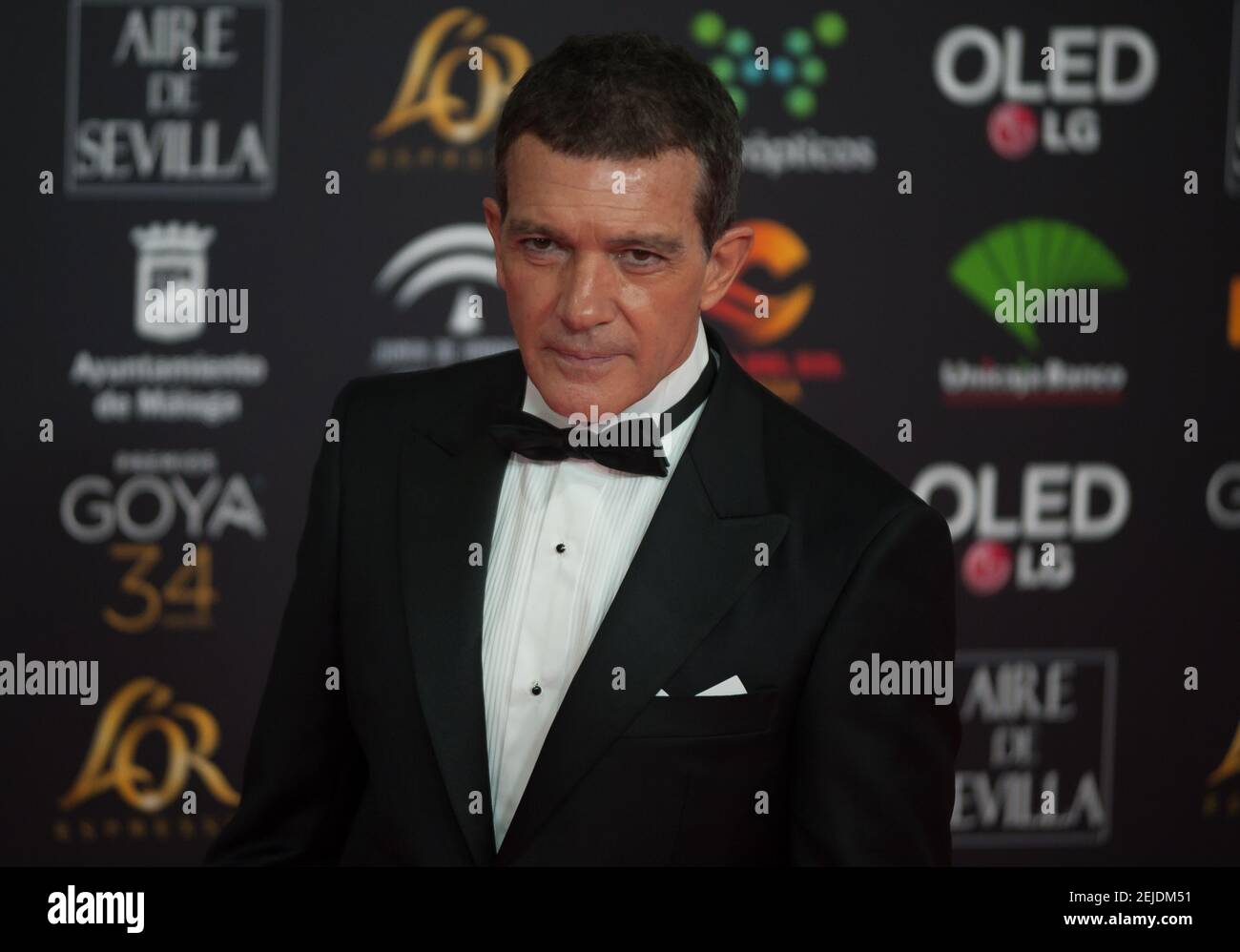 Spanish actor Antonio Banderas attends the 34th edition of Spanish Film ...
